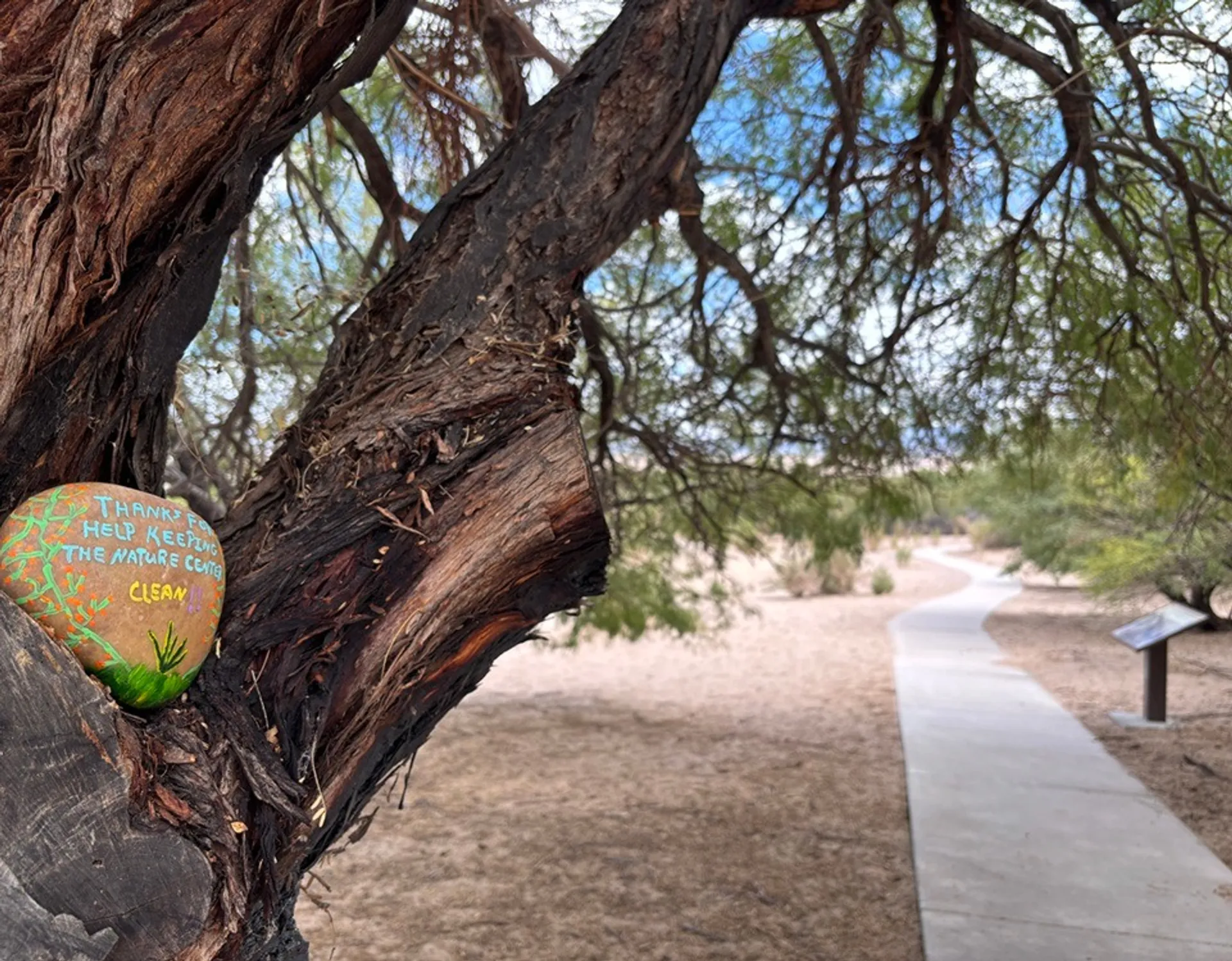 Adventure Awaits: Bullhead City's Best Trails