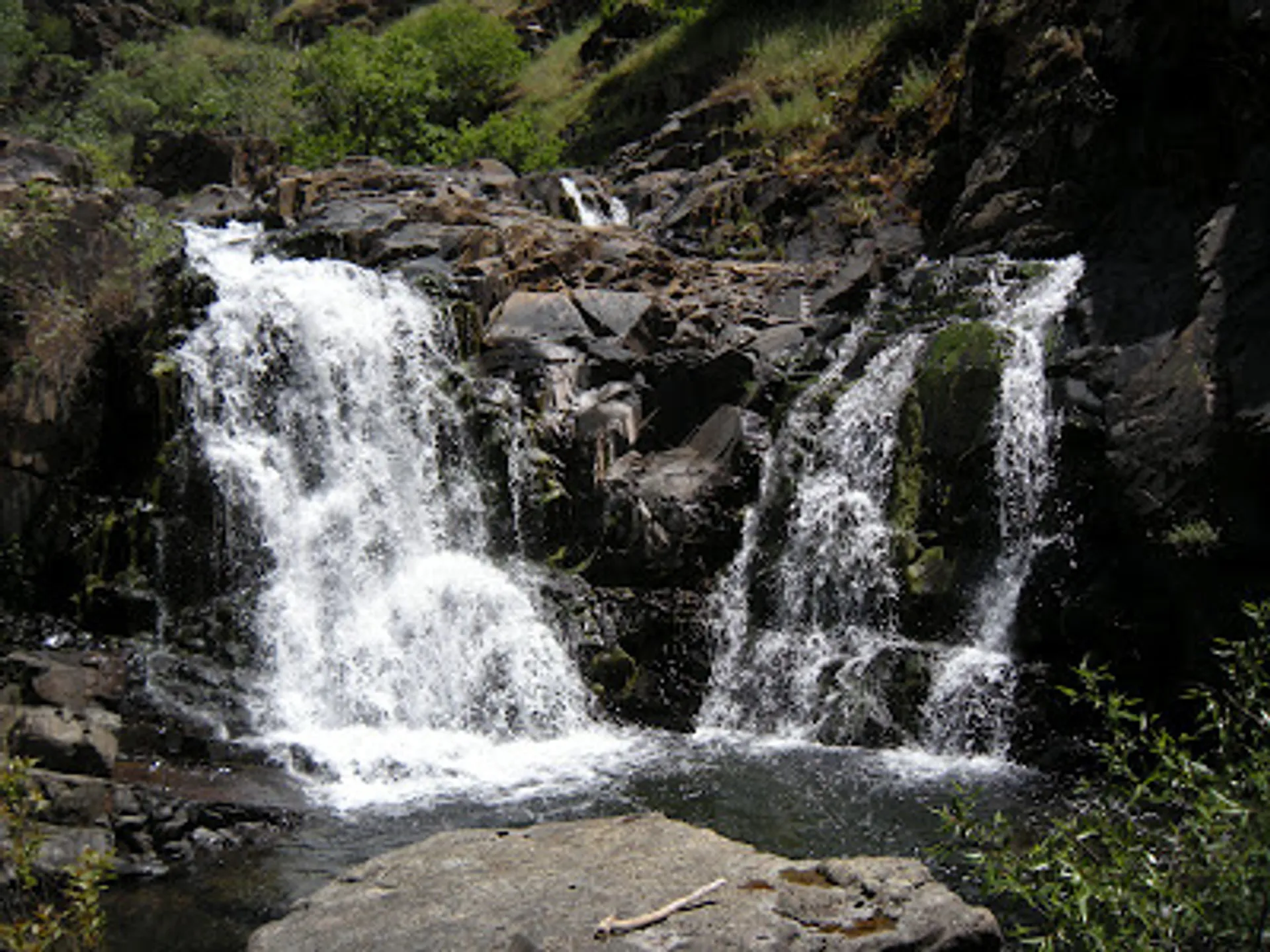 Dutch Creek Falls - Wildflowers are Aplenty in the Spring