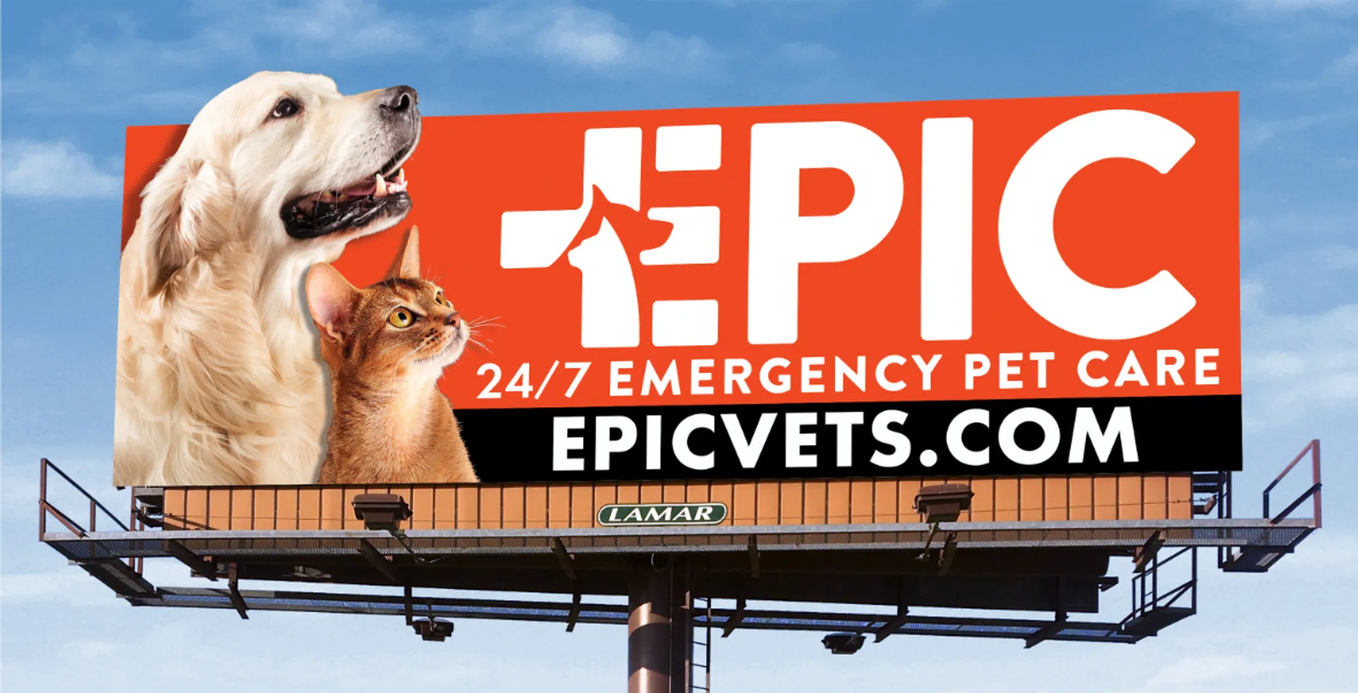 What to Expect at 24hr Emergency Pet Intensive Care