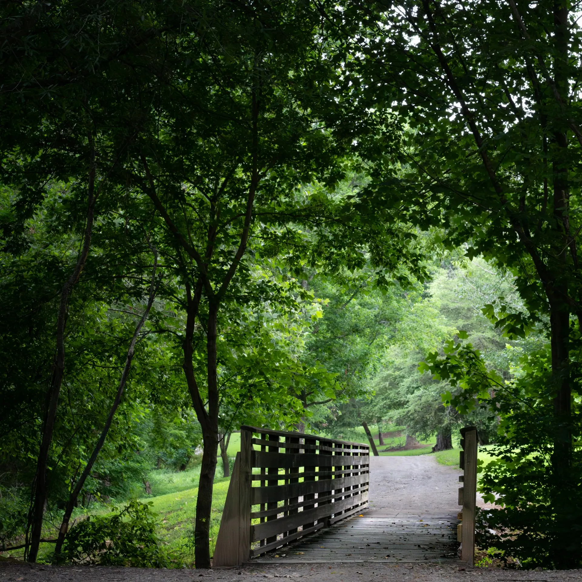 Newtonville Community Park | Local Connections™