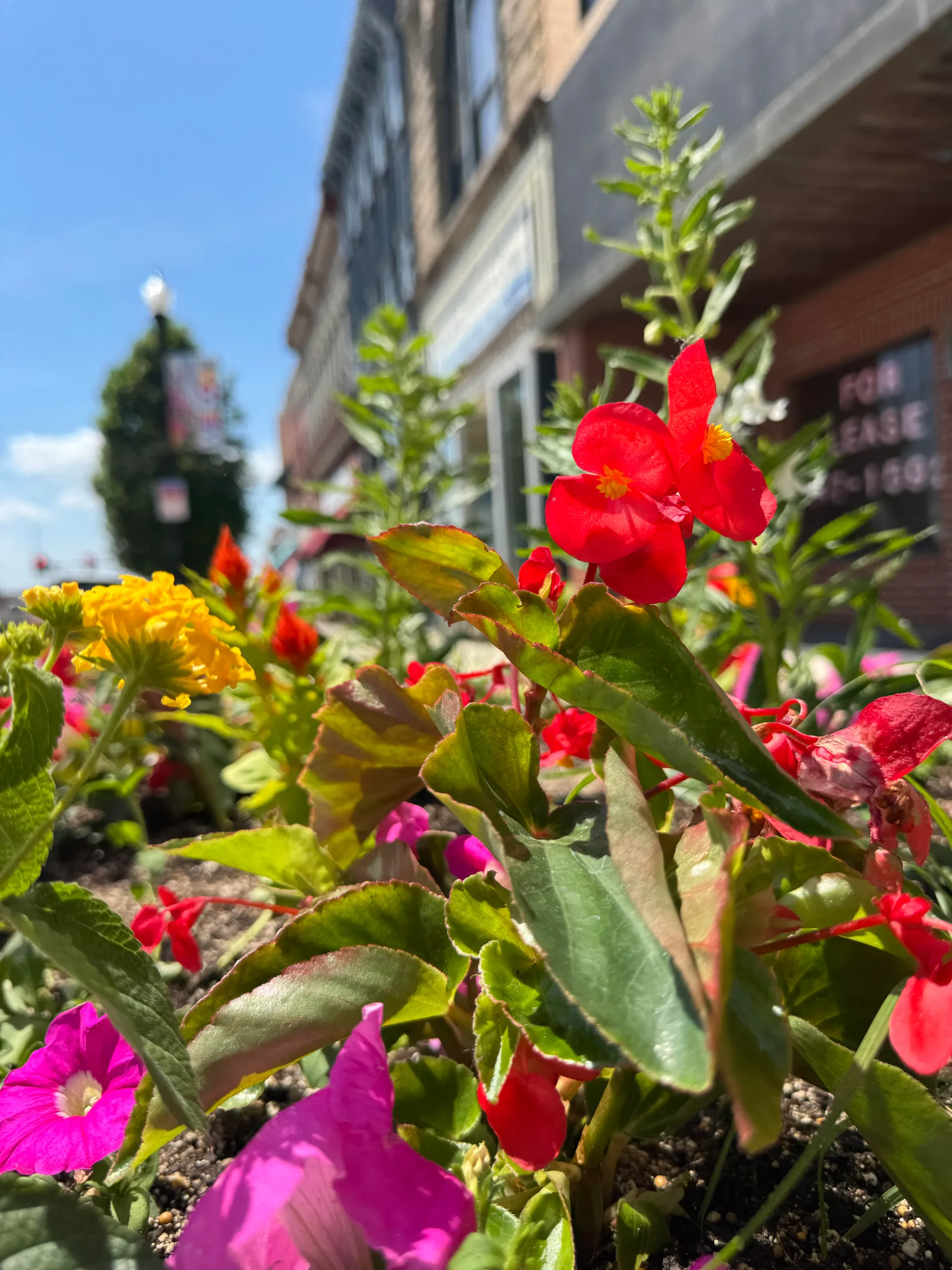 April Showers Brings May Flowers