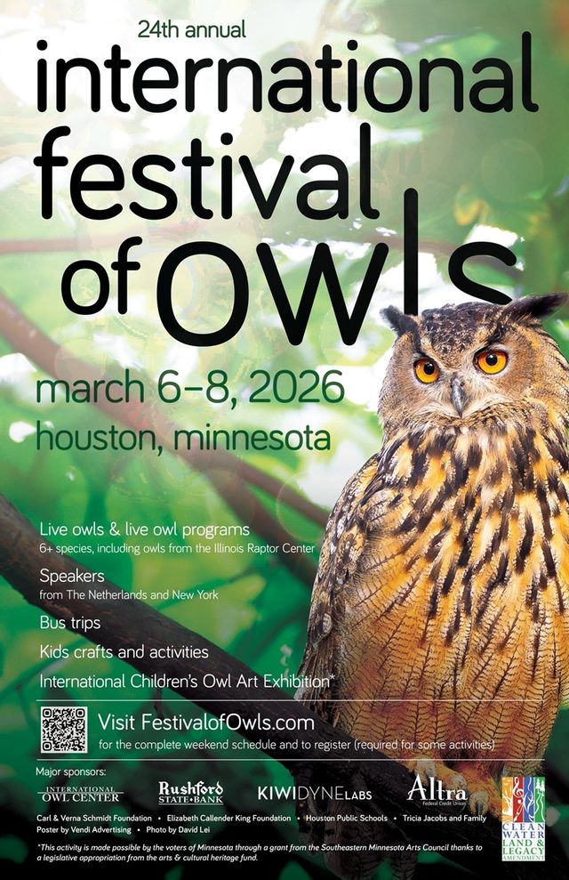International Festival of Owls