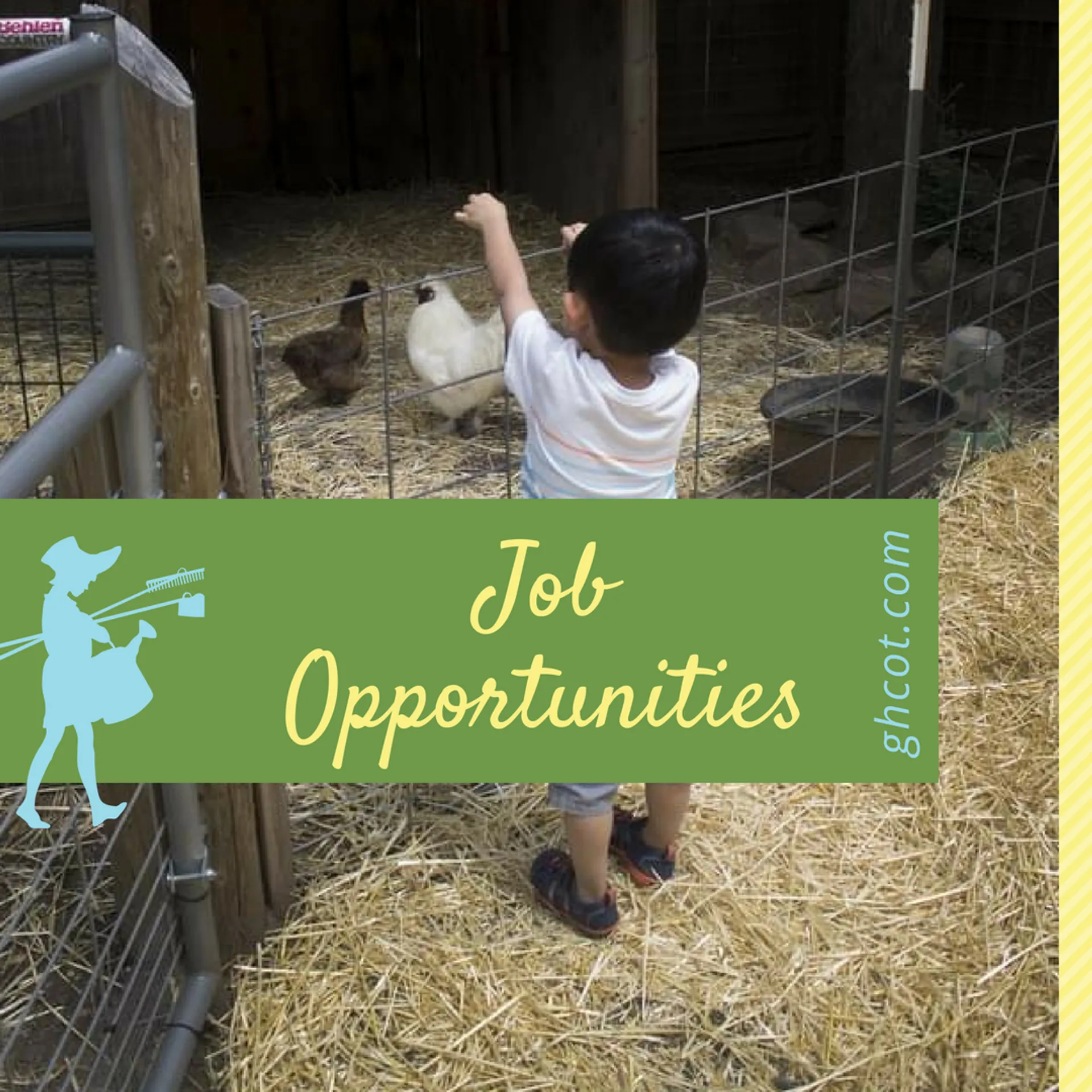 Job Opportunities