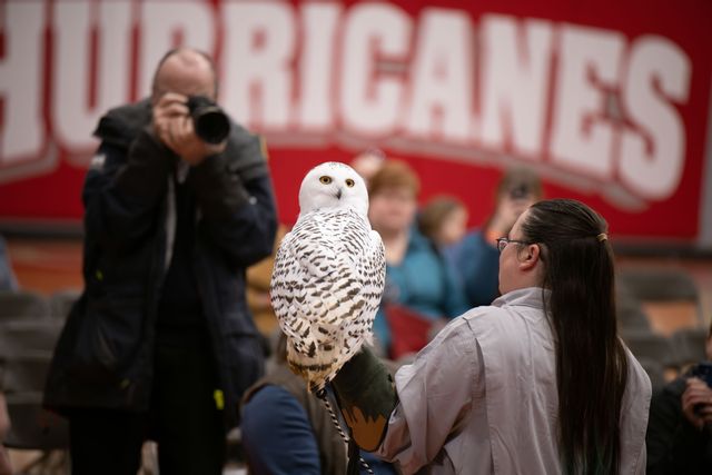 International Festival of Owls