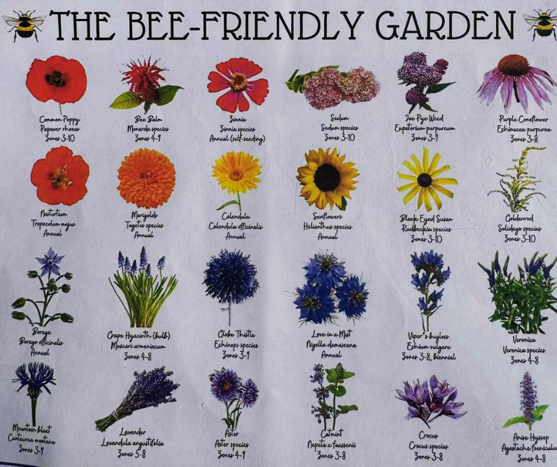 Honoring Heritage and Conservation: Our Never Forget Garden