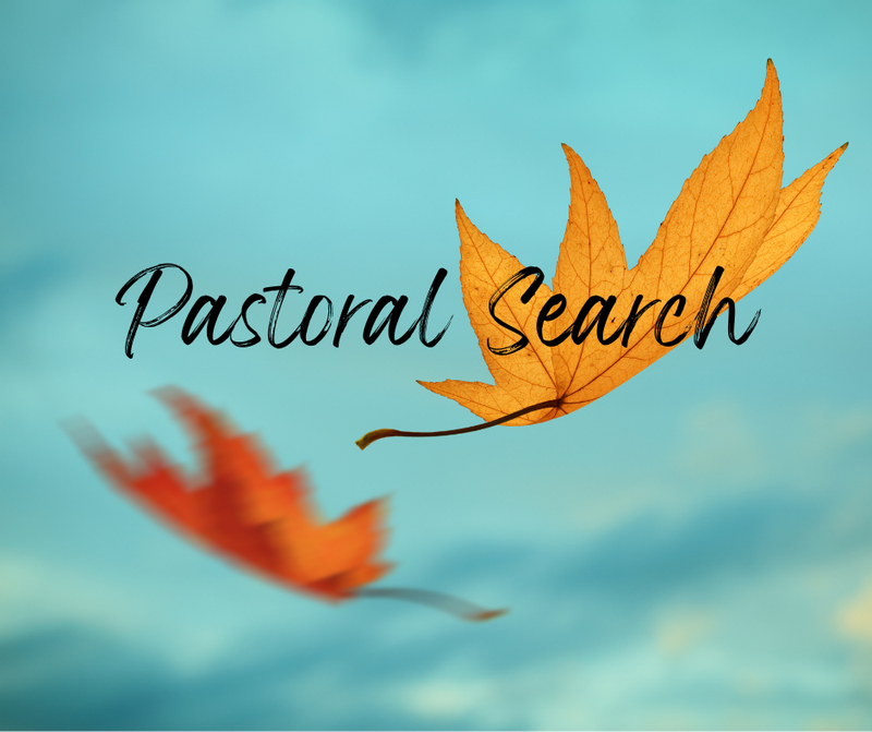 Pastoral Transition