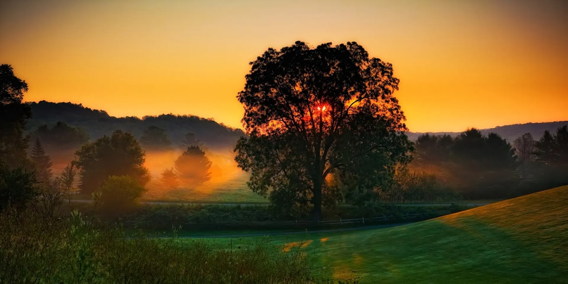Fall
