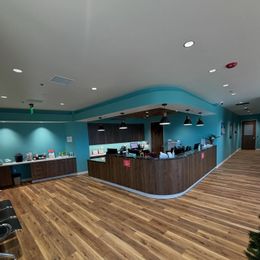 Emergency Pet Intensive Care | Local Connections™