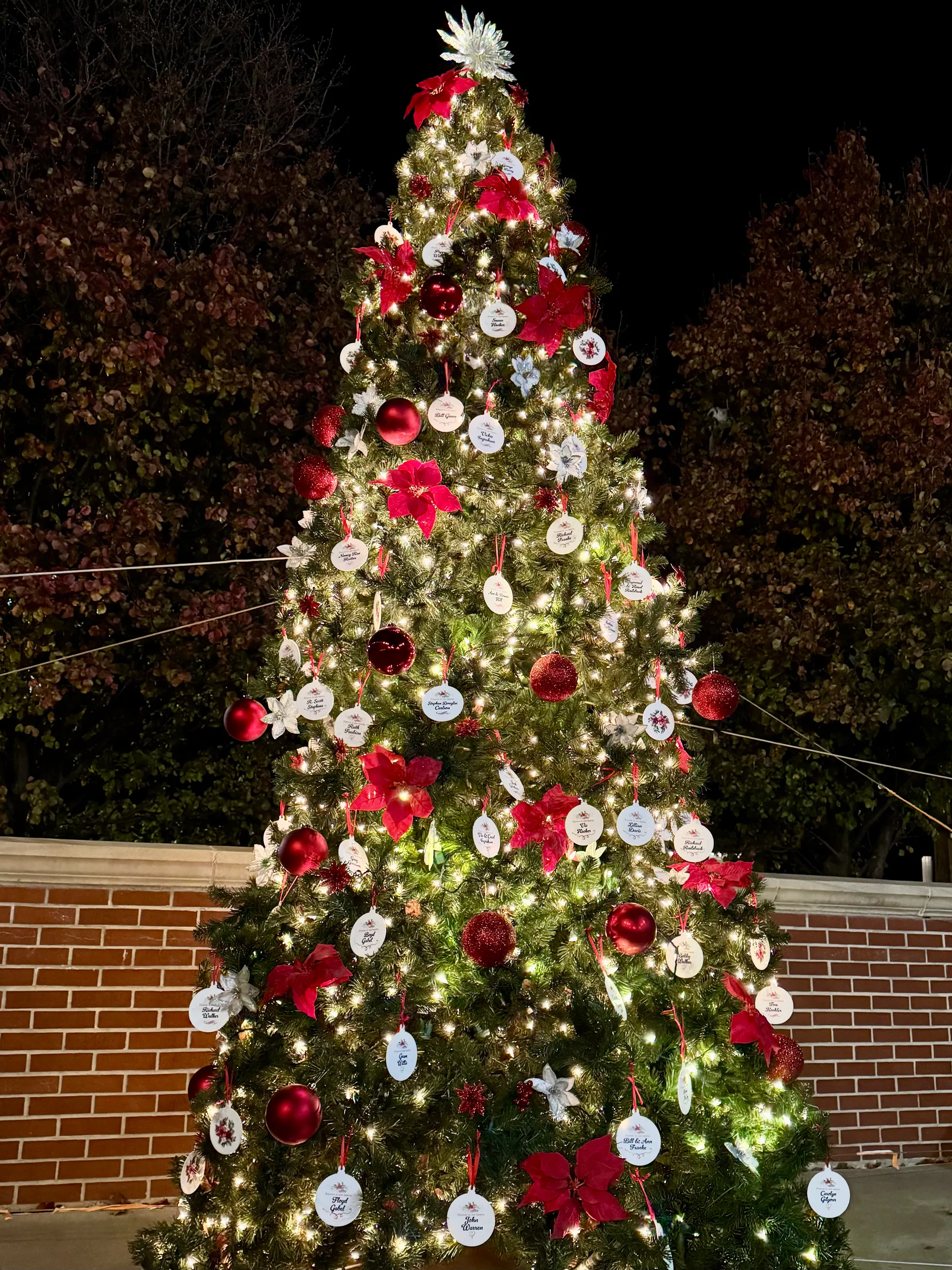 MAIN STREET CHILLICOTHE’S MEMORY TREE DEDICATION & LIGHTING