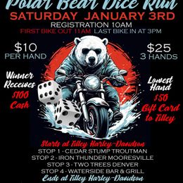 Polar Bear Dice Run