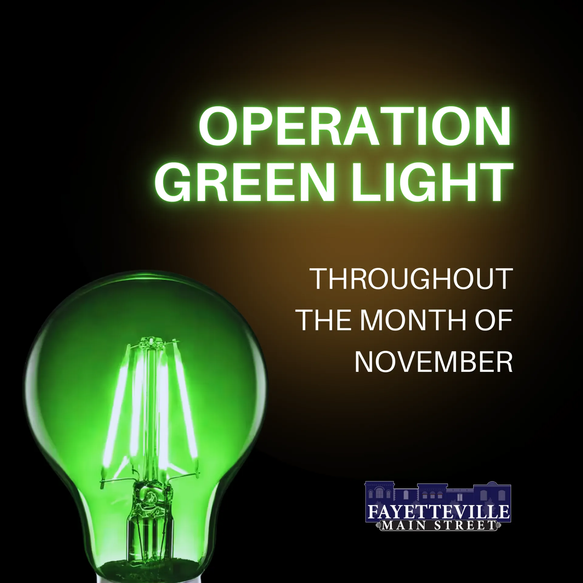 Shine a Light of Support for Veterans!