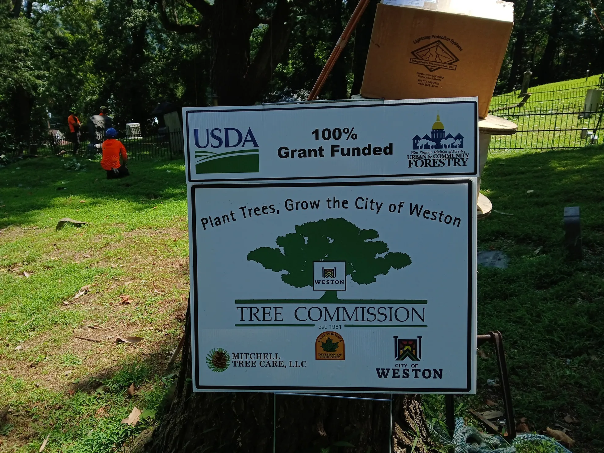 Today in Weston, Certified Arborist David Mitchell and his team from ...