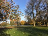 City of Statesville Parks