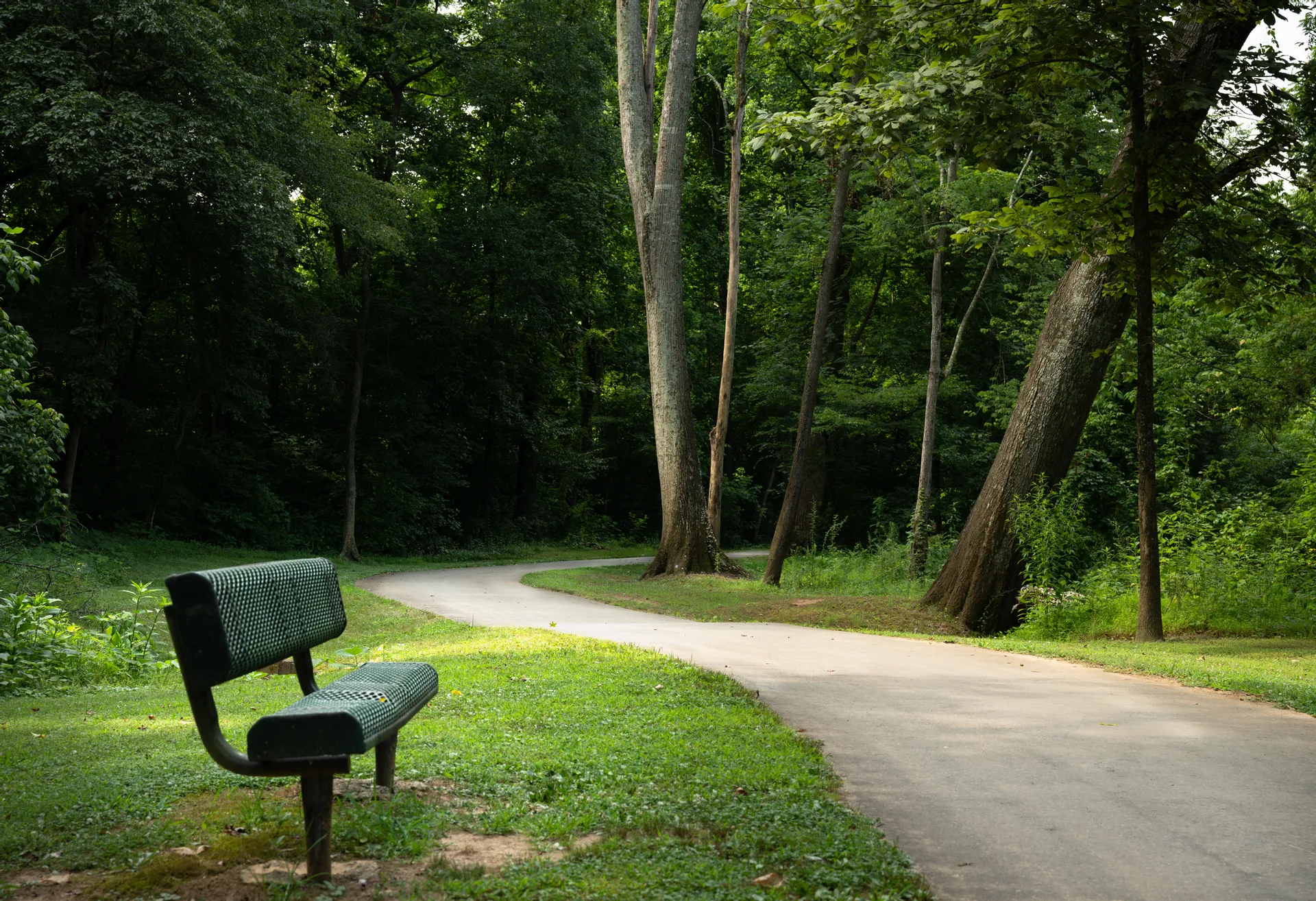 Wellness Made Local: 5 Ways to Feel Your Best with Statesville ...